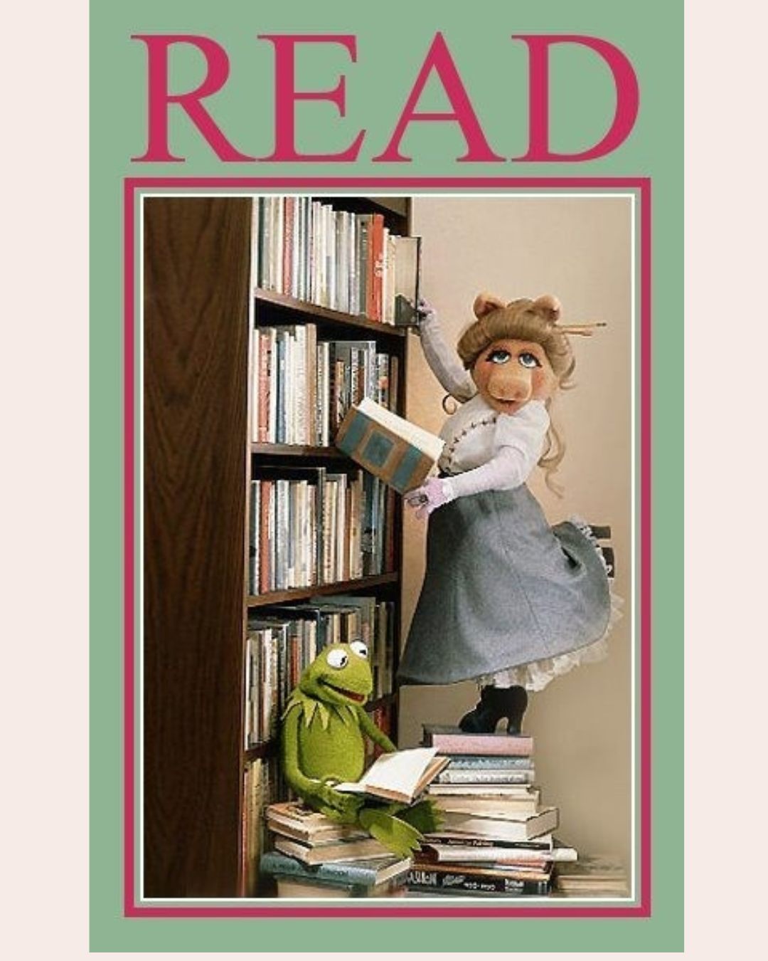 Palmerton Area Library – An Endless Shelf of Possibilities!