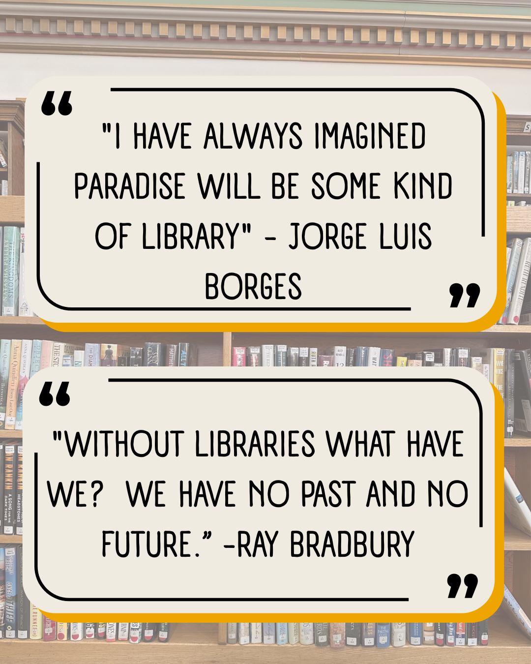 Palmerton Area Library – An Endless Shelf of Possibilities!