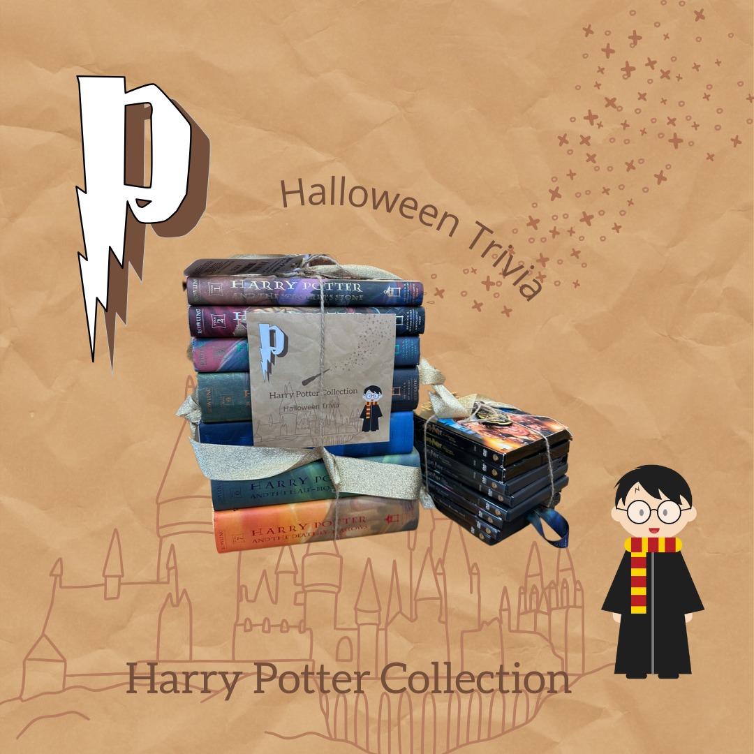 Palmerton Area Library – An Endless Shelf of Possibilities!