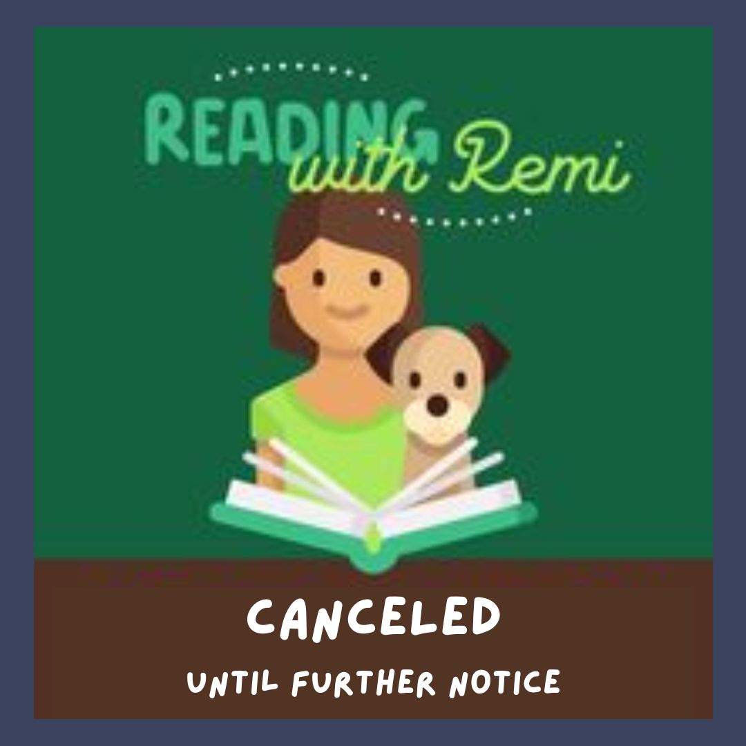 Palmerton Area Library – An Endless Shelf of Possibilities!